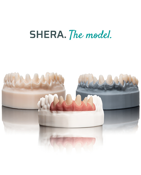 SHERA Werkstoff-Technologie GmbH - high-quality dental solutions