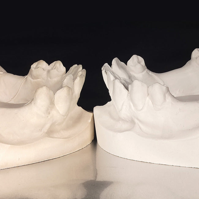 SHERAPORAL – SHERA Werkstoff-Technologie GmbH